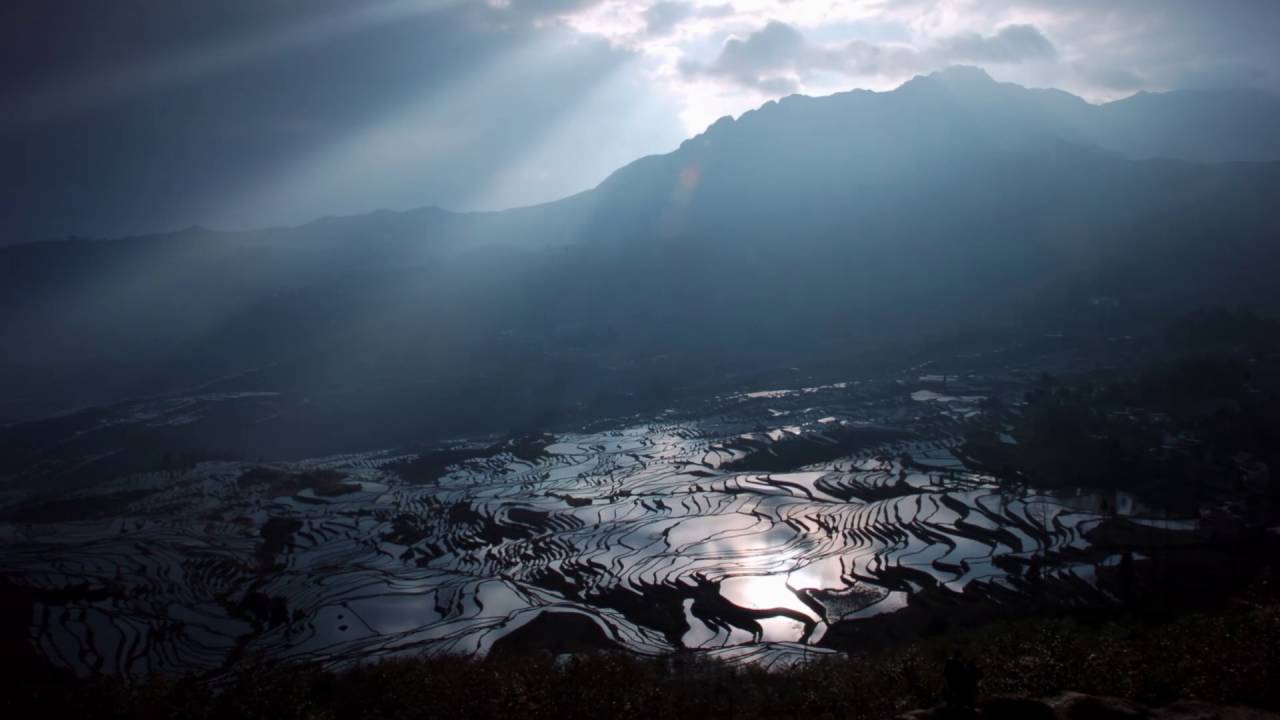 Bing 2016 04 26 Rice Paddy Terraces, China - YouTube