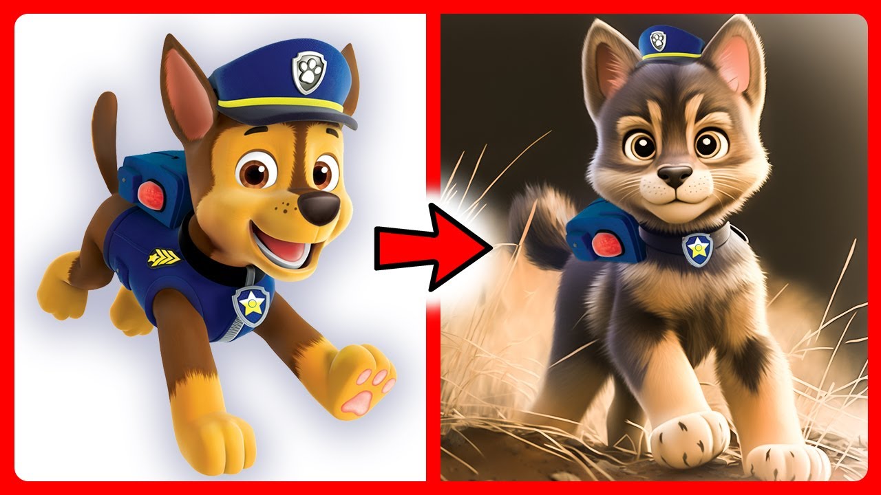 🐱 PAW PATROL as CAT 🦴 All Characters - YouTube