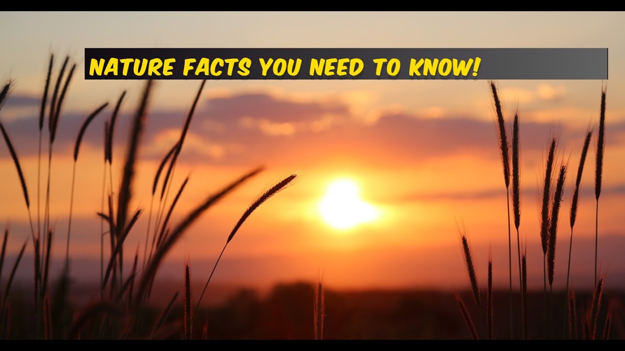"Amazing Nature Facts You Need to Know! 🌿 " #NatureFacts #AmazingNature ...