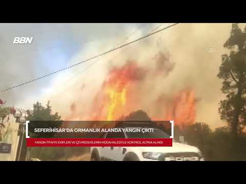 Seferihisar'da Ormanlık Alanda Yangın Çıktı