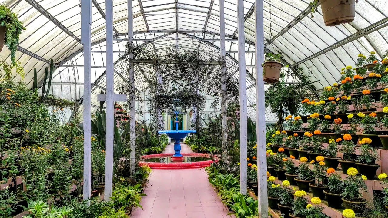 LLOYD BOTANICAL GARDEN | BOTANICAL GARDEN DARJEELING - YouTube