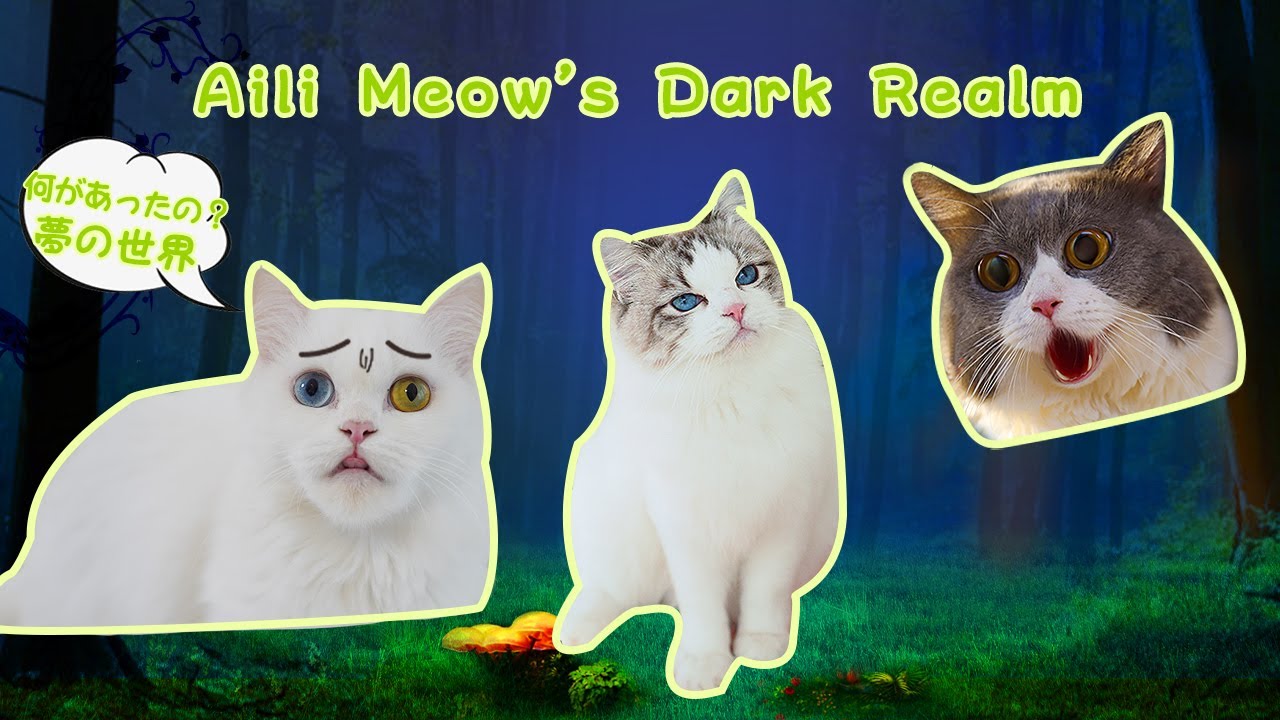 Cat Drama: Aili Meow's Dark Realm - YouTube