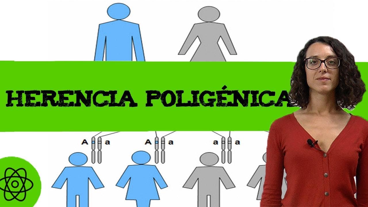 Ejercicio de genética con más de 2 genes (herencia poligénica) 🧬 - YouTube