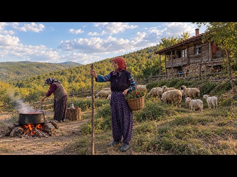 Türkiye'de Köy Hayatı. Dağlarda Geleneksel Yaşam - Köy Belgeseli