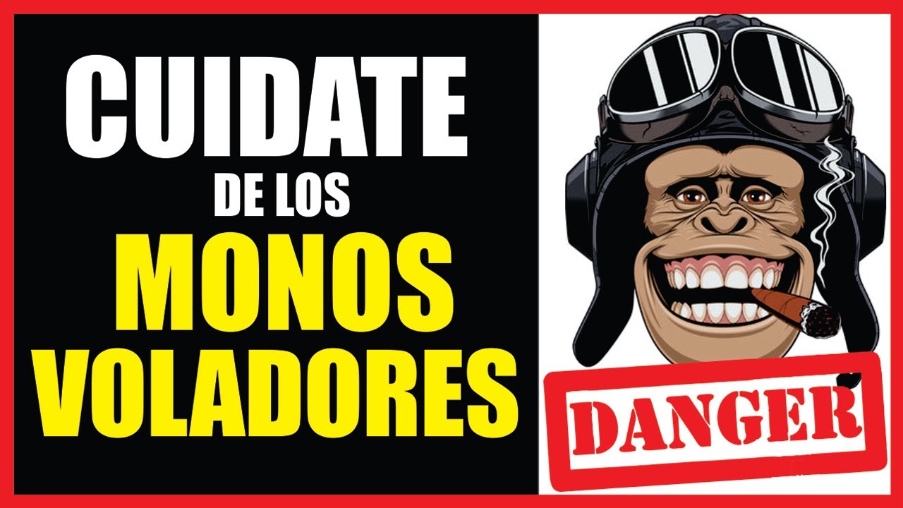 PELIGRO ⛔ Los Monos Voladores del Narcisista 🐒🐒🐒 - YouTube