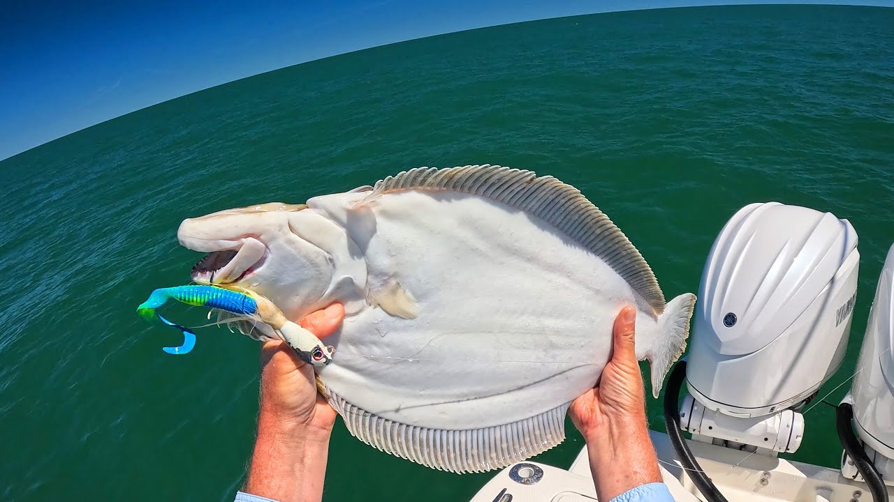 Ocean Fluke (Summer Flounder) Limit As The Bite Turns On! - YouTube