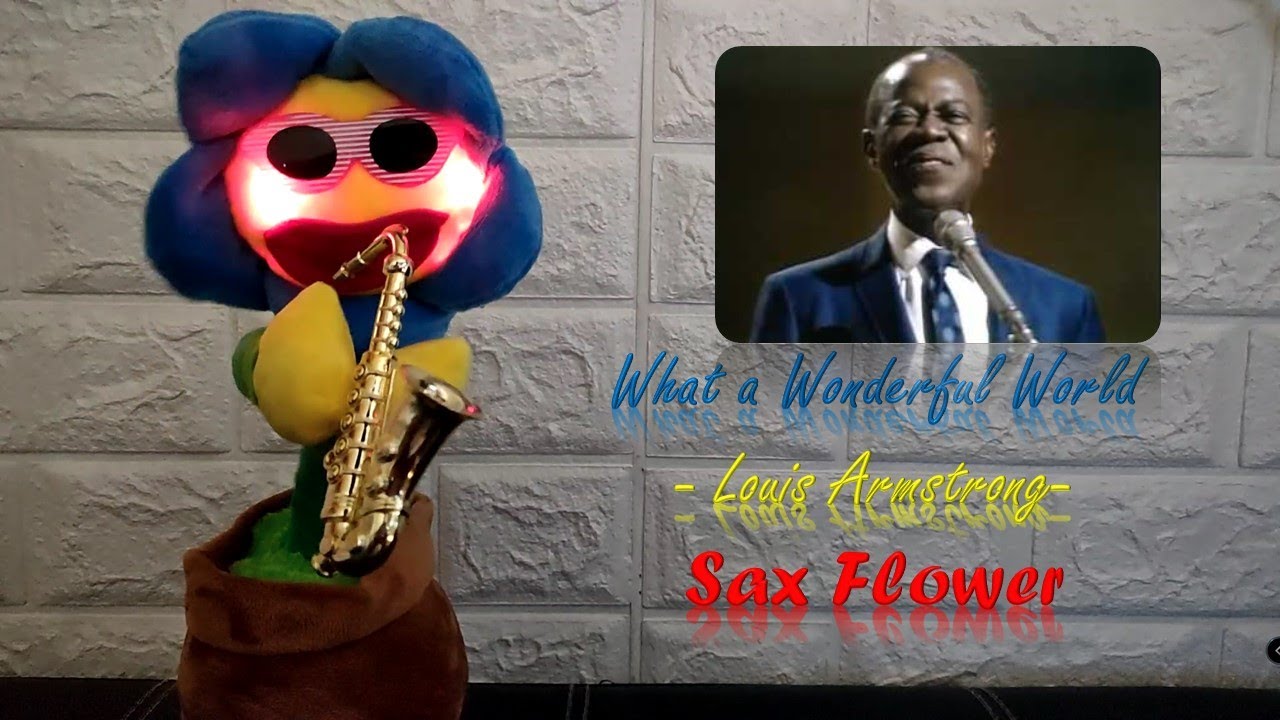 What a Wonderful World – Louis Armstrong | Sax Flower - YouTube