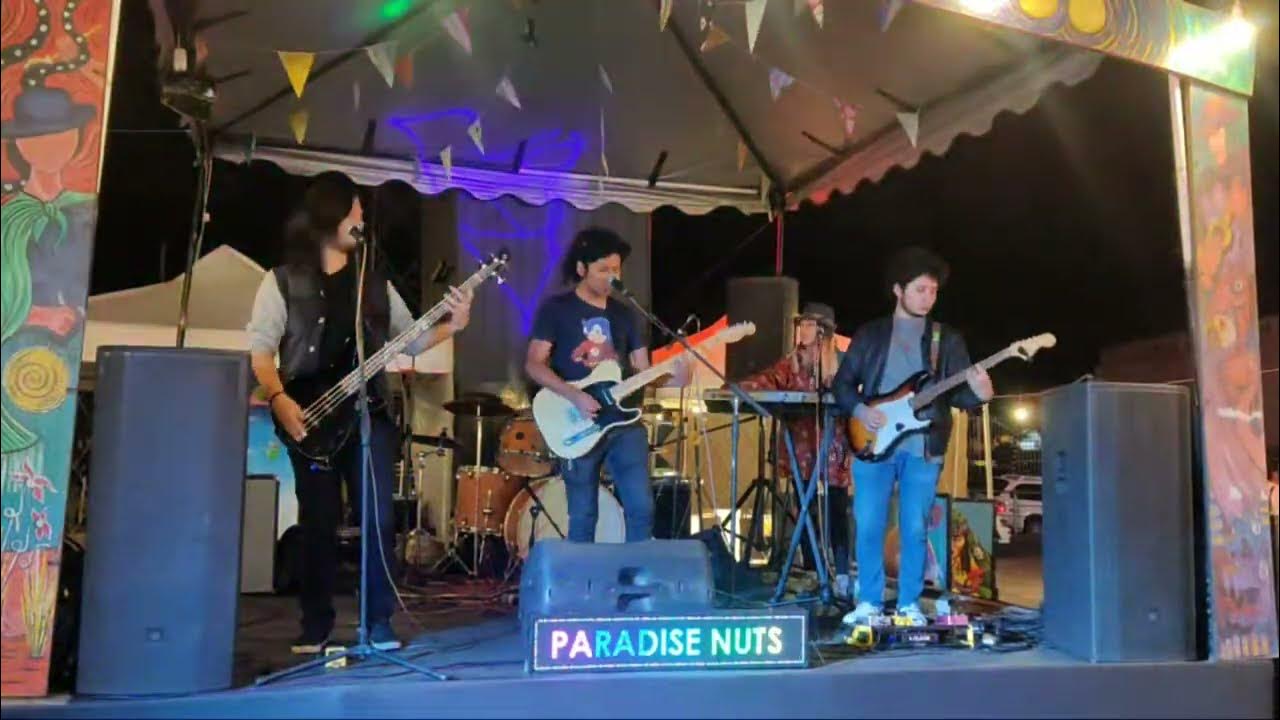PARADISE NUTS - YouTube