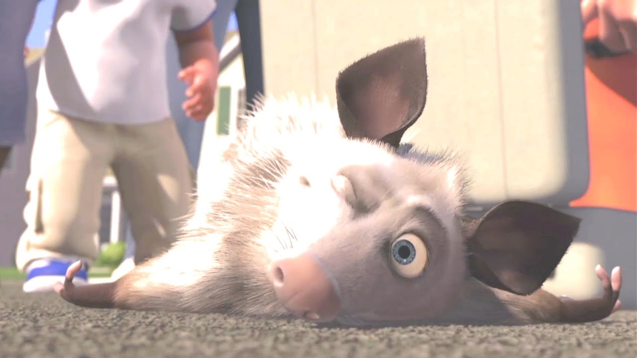 Over The Hedge: Ozzie (2006) (Filters) - YouTube