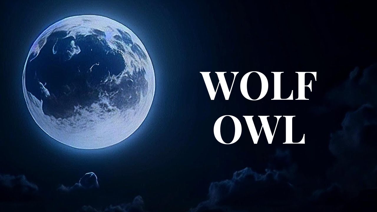 20 min of wind, wolf and owl sounds (even better with headphones) - for a relaxing night - YouTube