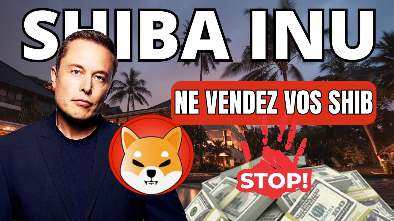 🦊 SHIBA INU : Pourquoi vous ne devez pas vendre vos SHIB 🚀🚀🚀 - YouTube