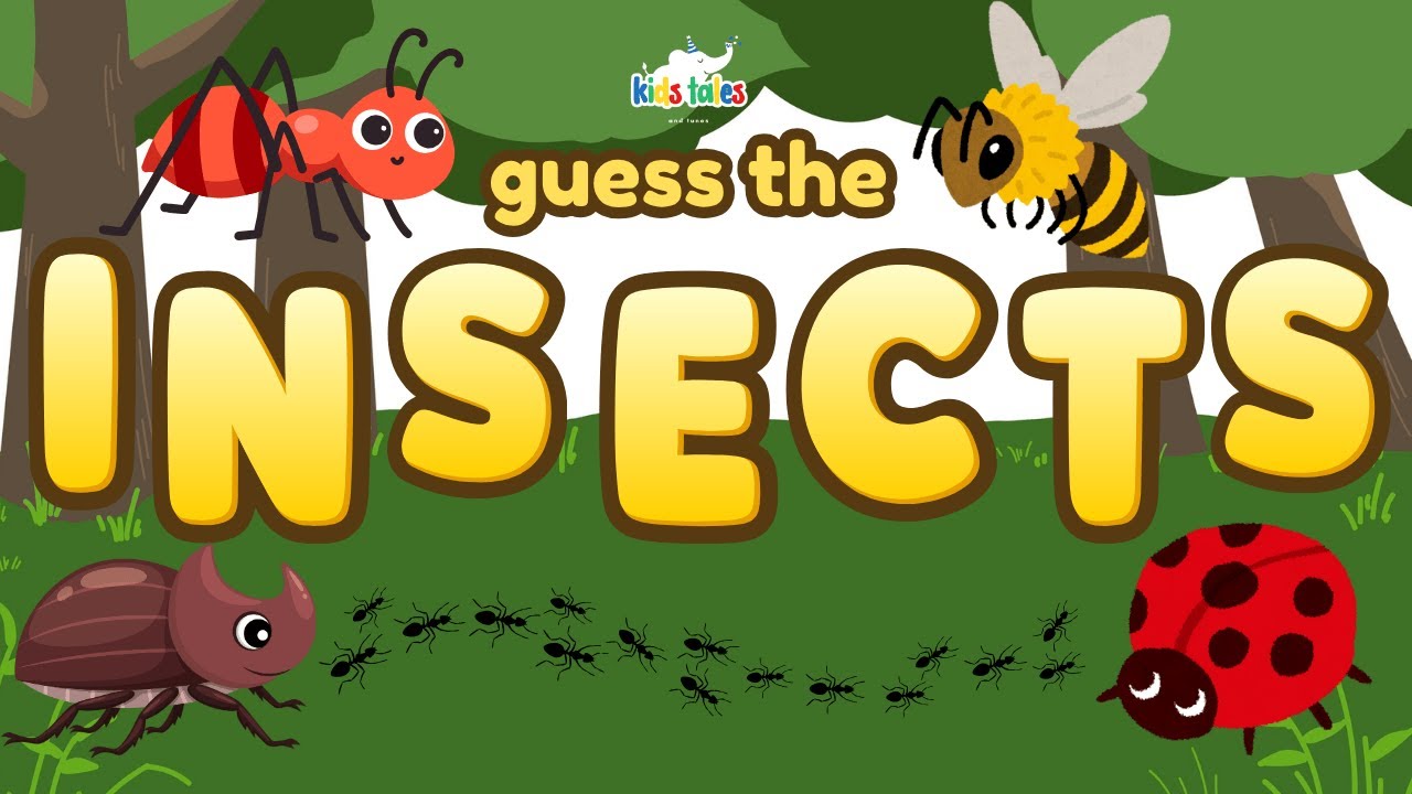 Guess The Insects Game! - YouTube