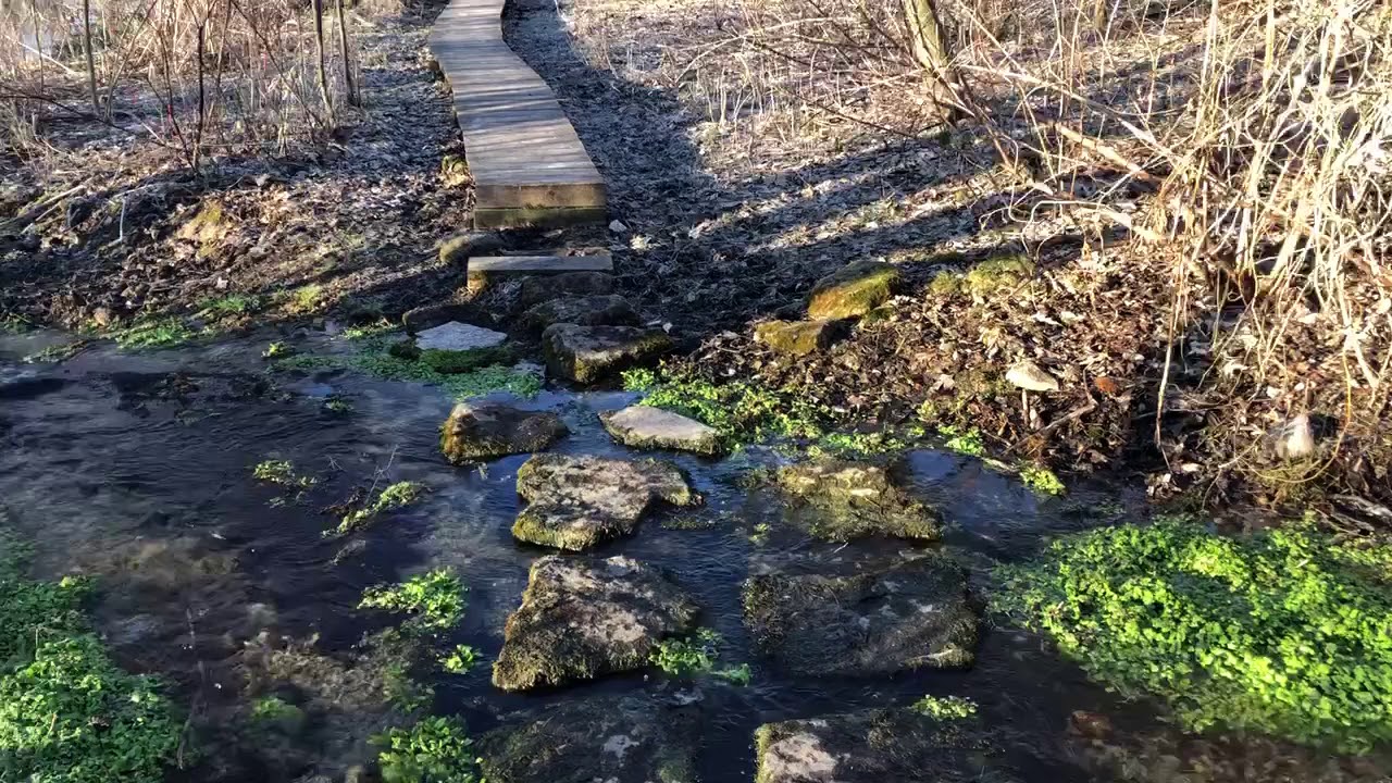 Council Ring Spring on March 23, 2019 - YouTube