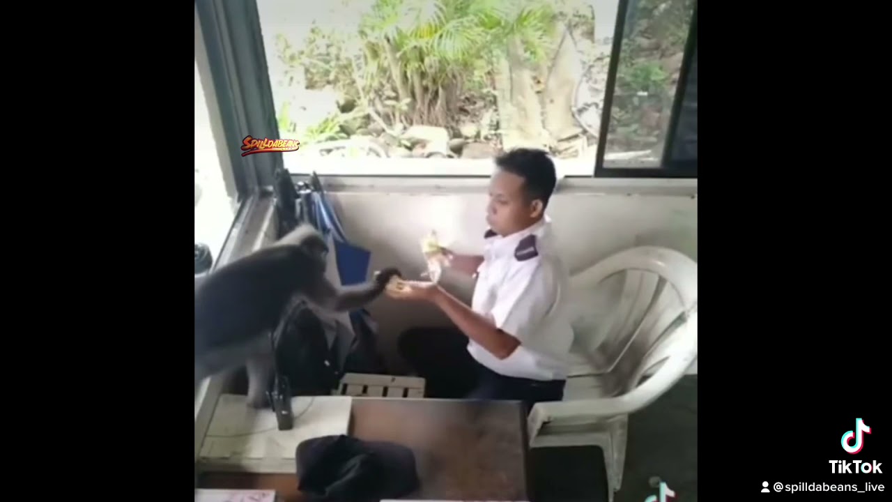 The best of Kerwin Claiborne voiceovers - YouTube