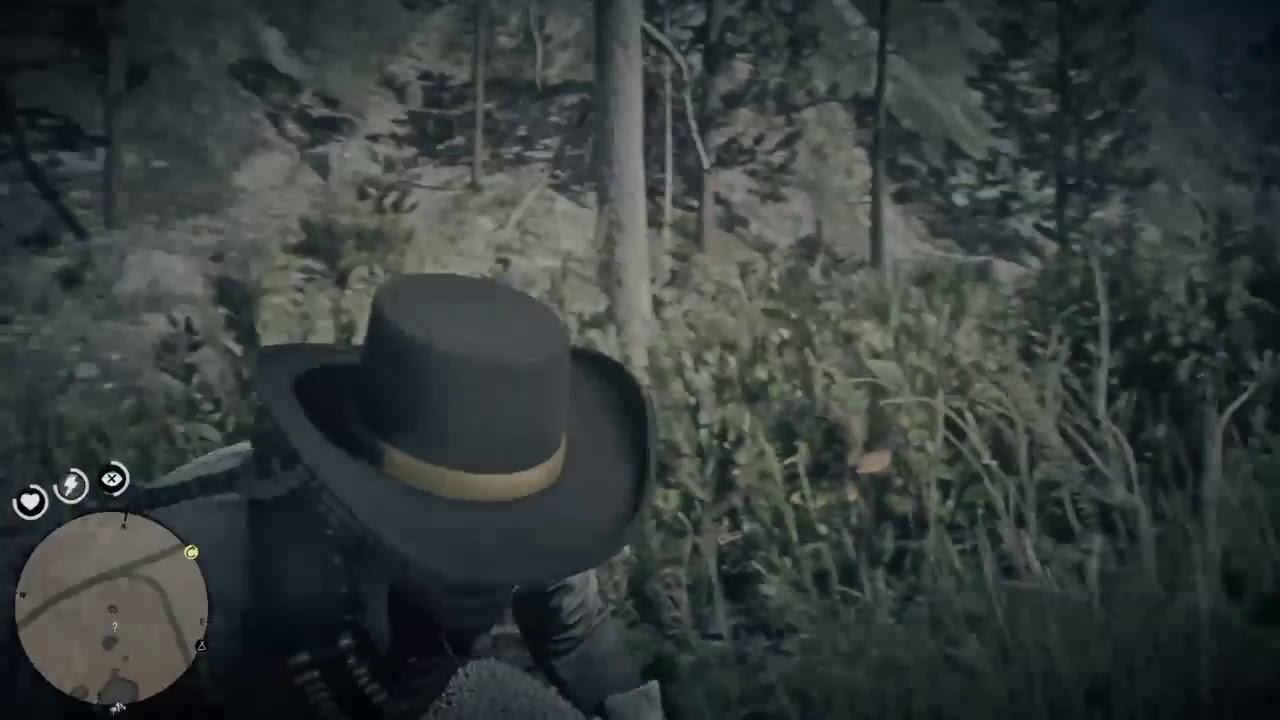 red Dead redemption 2 legendary wolf - YouTube