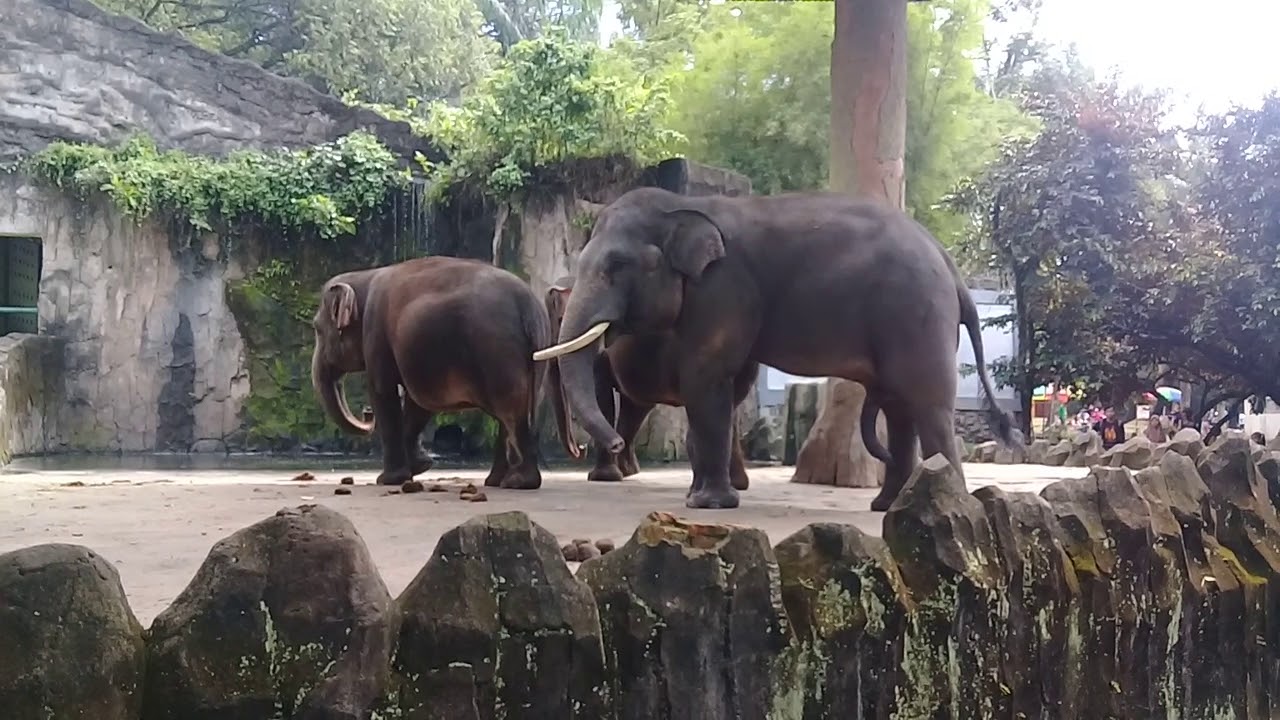 tempat rekreasi di jakarta ragunan - Wisata Tempatku