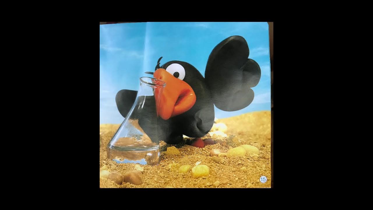 The Crow Drinks Water - YouTube