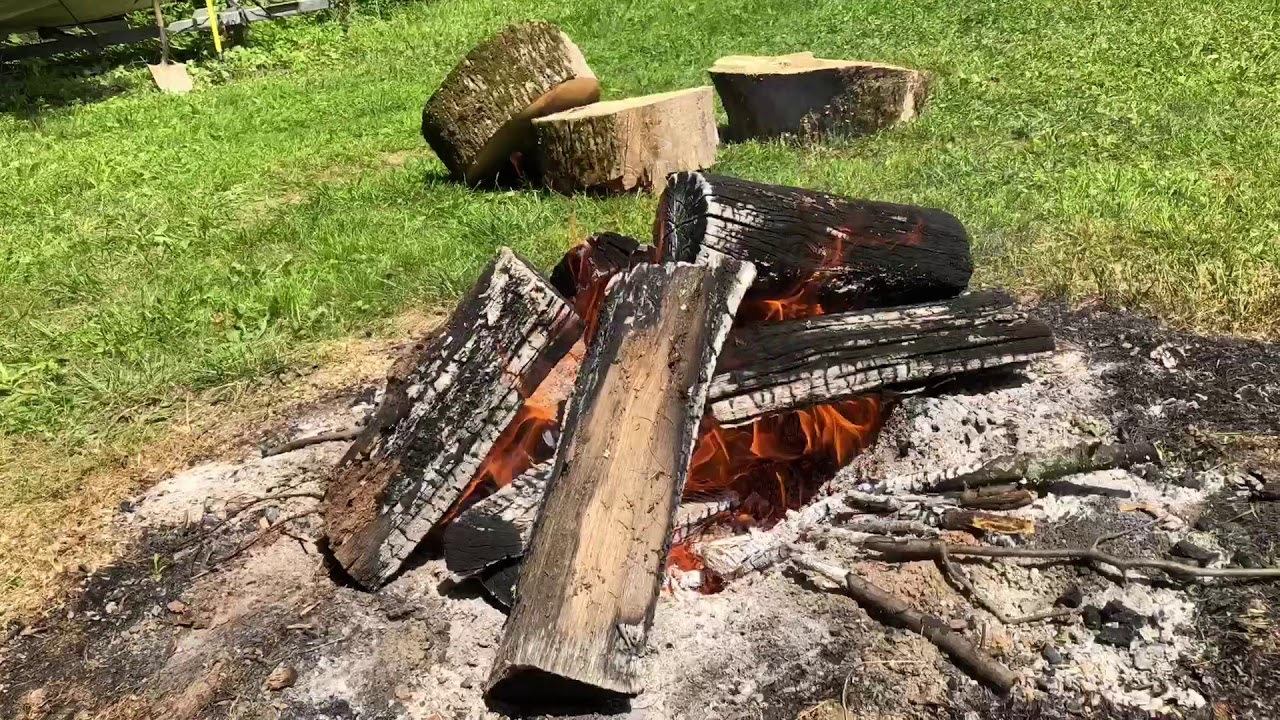 #29 - Stump Removal Follow Up With Surprise Ending - YouTube