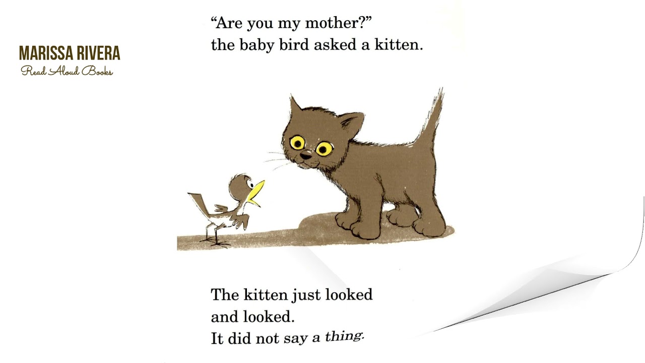 READ ALOUD BOOK: ARE YOU MY MOTHER by P. D. Eastman - YouTube
