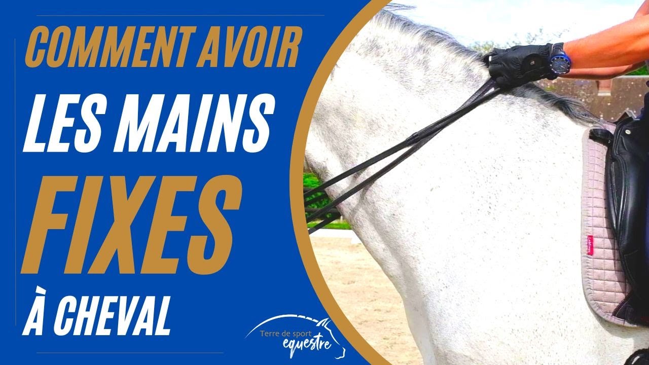 Comment avoir des mains fixes et stables à cheval - YouTube