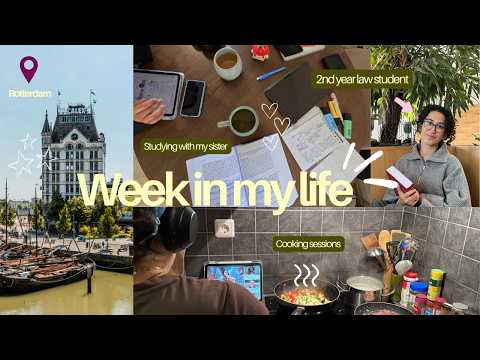 Study vlog I uni study sessions, a lot of snacks, visiting my sister and a missing cat?