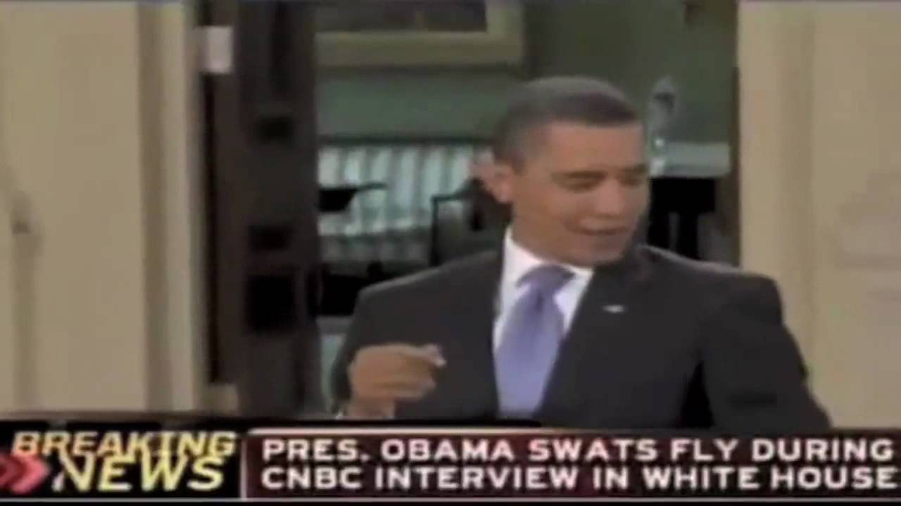 PRESIDENT OBAMA vs THE FLY - YouTube