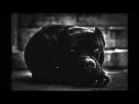 Axel Thesleff   Bad Karma TRAP 2016