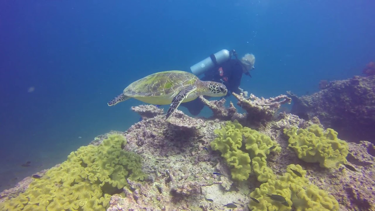 Oman 2017 Saman Explorer Tour - YouTube