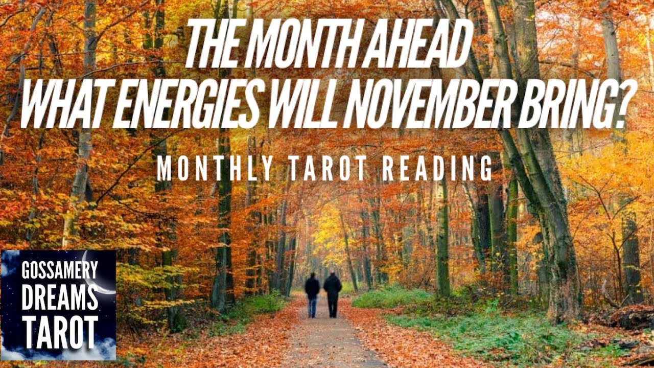 🍁🍂🦃YOUR MONTH AHEAD🦃🍂🍁 NOVEMBER ENERGY! WHAT WILL HAPPEN IN THE COMING ...