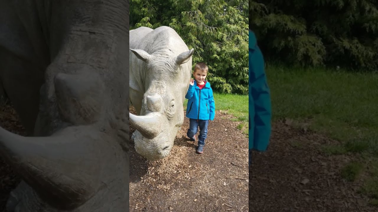 Jake's trip to Manor Wildlife Park | Tenby | #walkwiththeanimals - YouTube