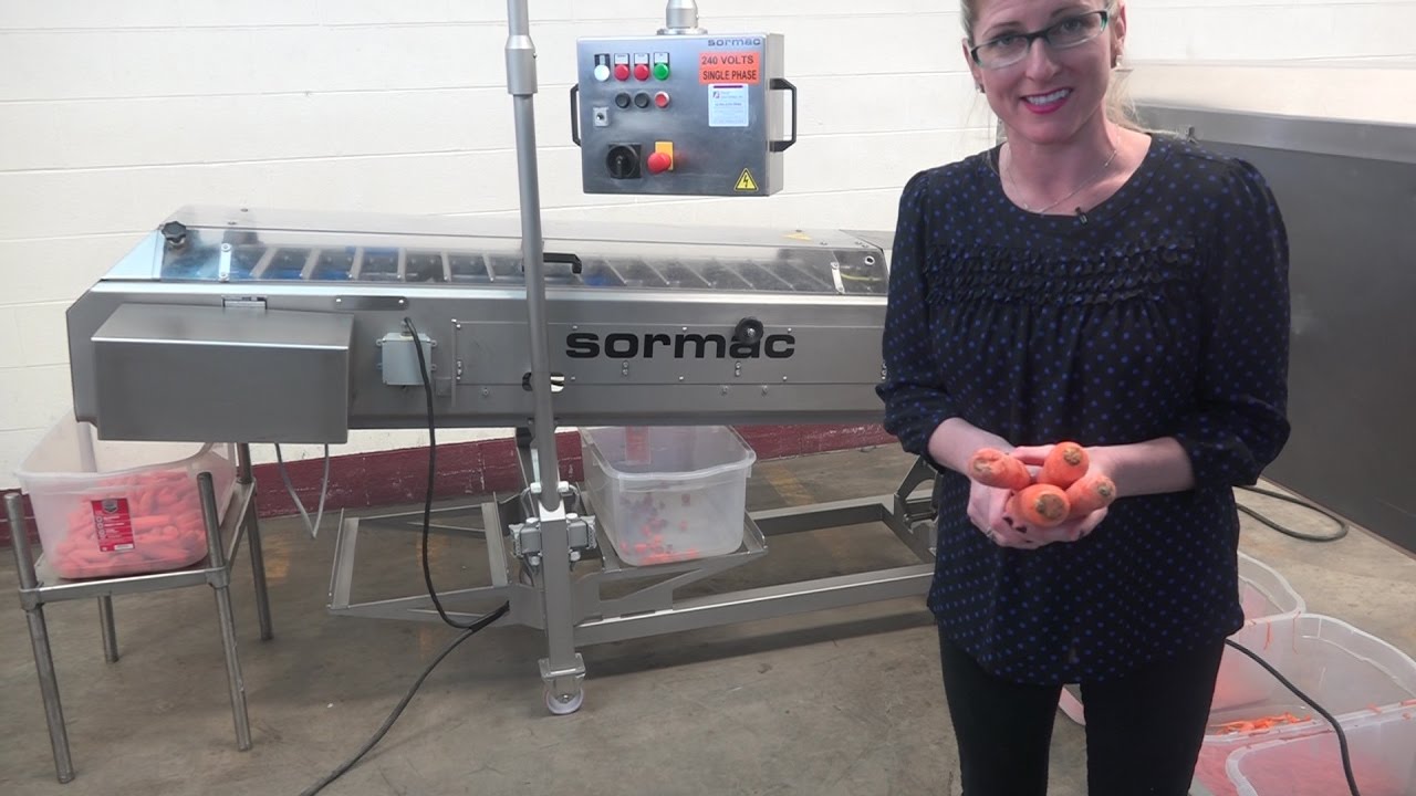 Sormac KP-60 Knife Peeler with WOS-1A Topper and Segmentor ...