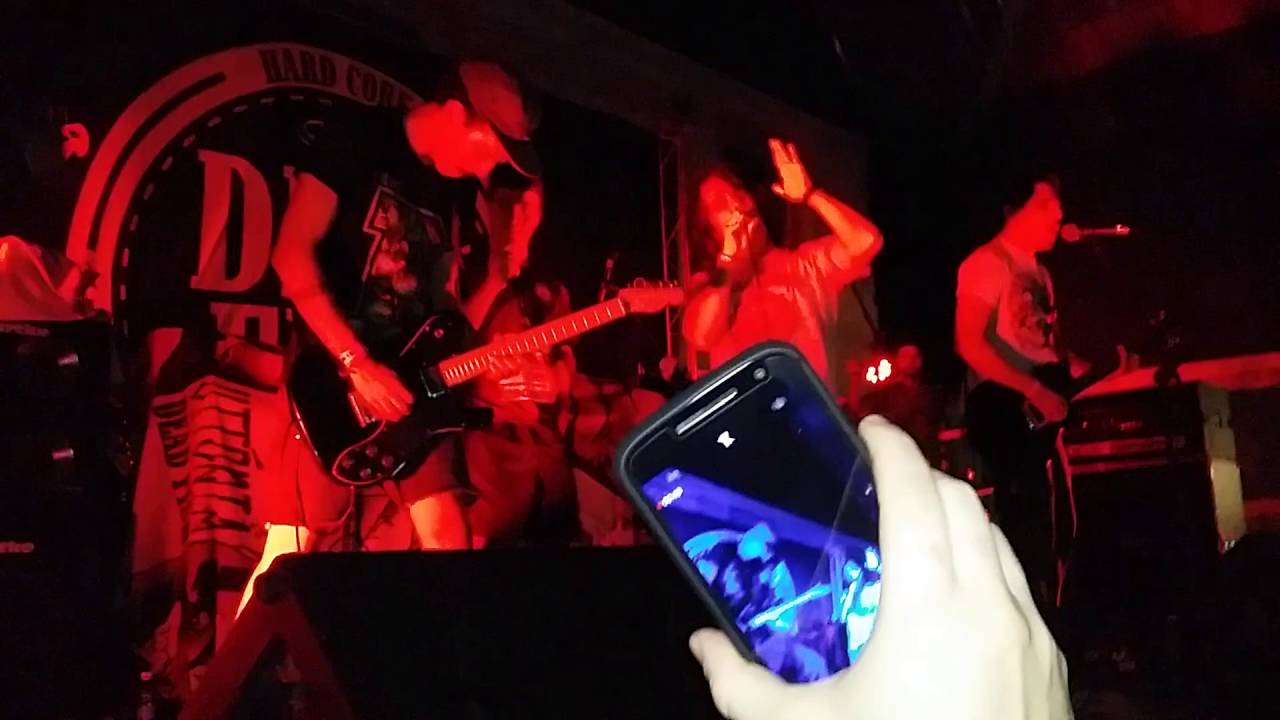 Born to Freedom + Rodrigo Lima (Dead Fish) - Noisy Place - YouTube