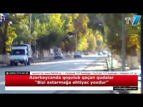 Ağdaşda qoşulub qaçan qudalar: “Bizi axtarmağa ehtiyac yoxdur”