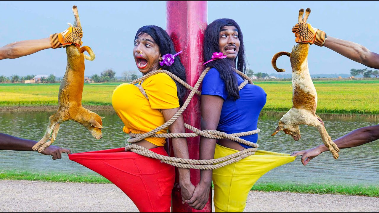 Must Watch Special Comedy Video 😎Totally Amazing Comedy Episode 288 by ...