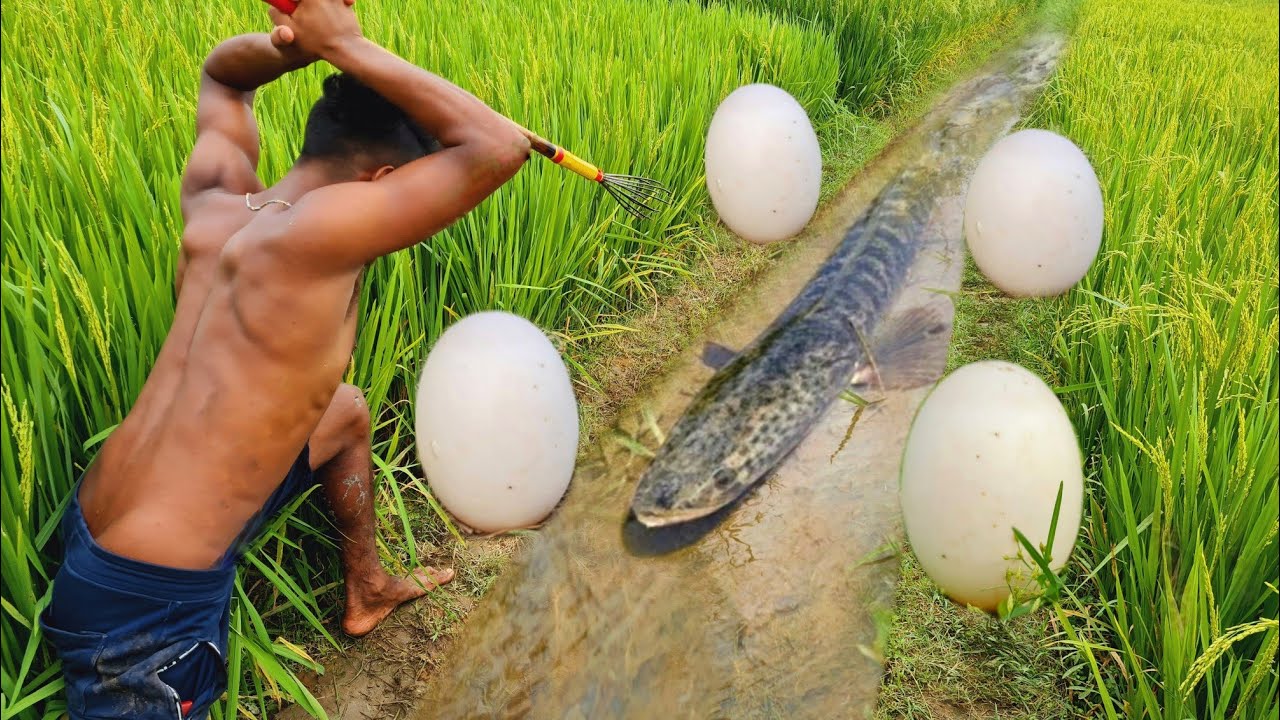 Really😊Amazing Village Drain Fishing Method⏩Best Fishing Style With ...