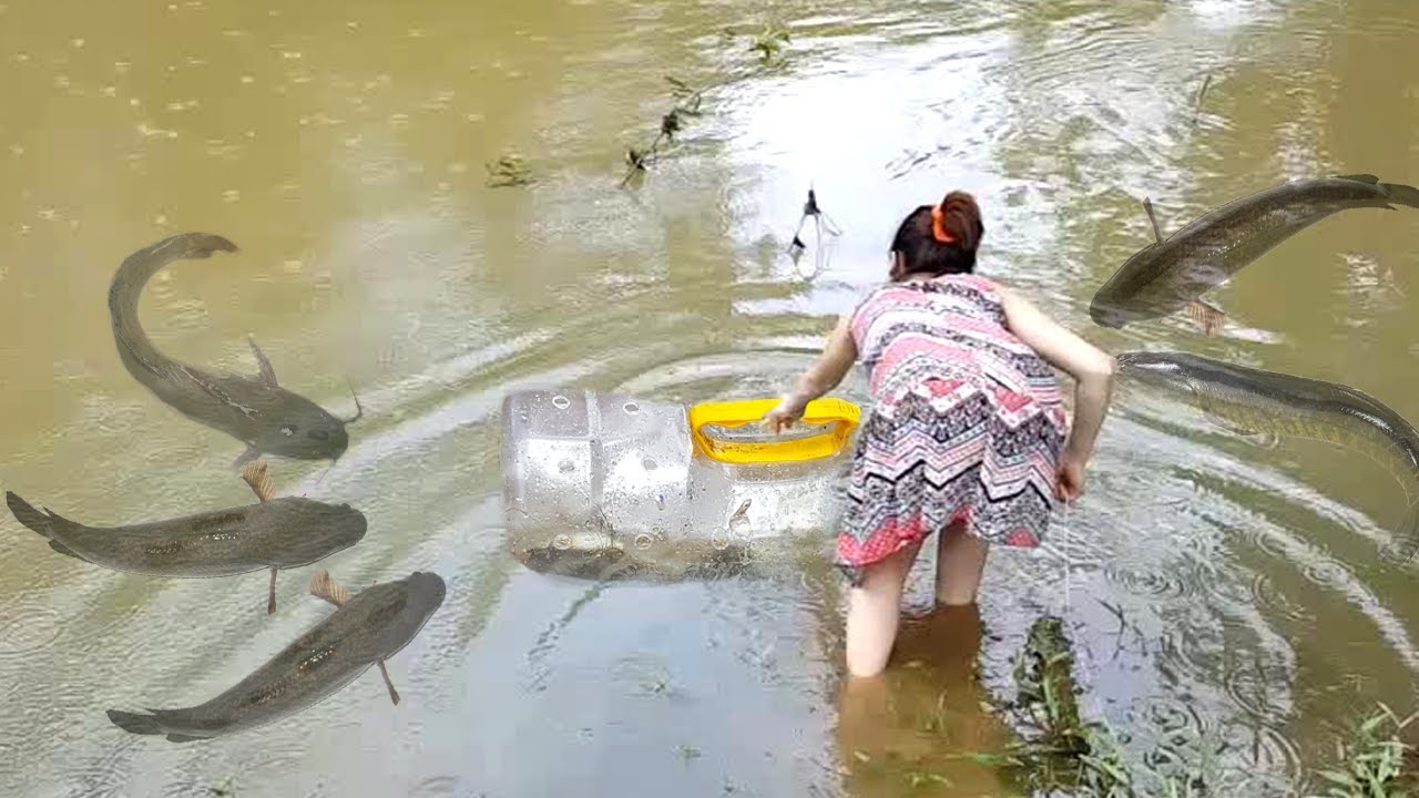 VN Daily Amazing Fish Trap Using plastic bottles Hole Trap Make By ...