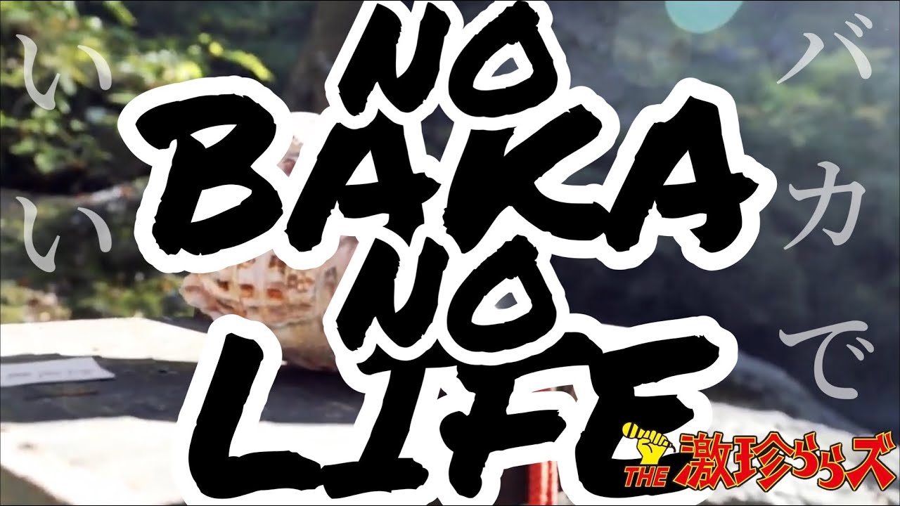 【MV】NO BAKA NO LIFE / THE激珍ららズ Music Video - YouTube