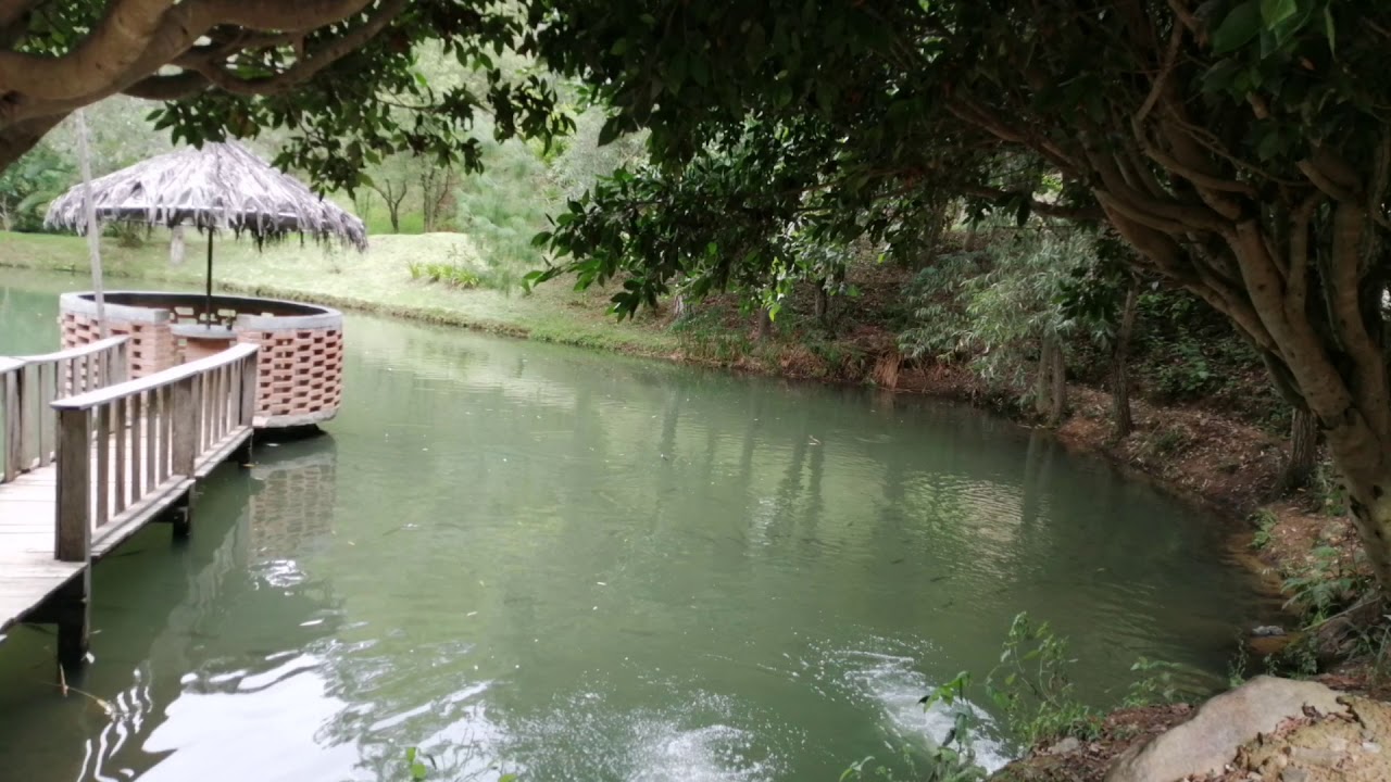 Ixtlán de Juárez Oaxaca, lugar para comer truchas y disfrutar de sus ...