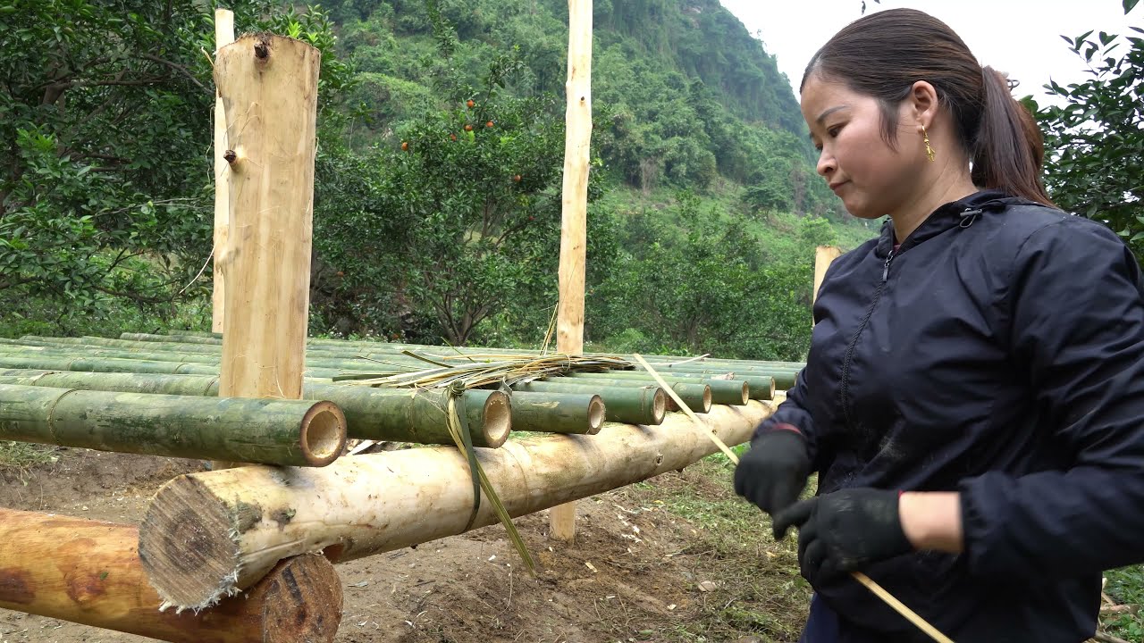 FULL VIDEO: 1 Month Building Complete Cabin & Breeding Farm, Wild Boars ...