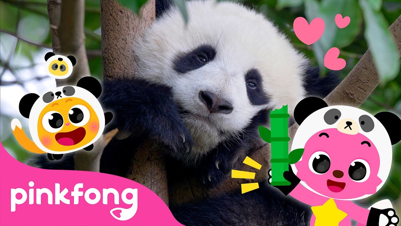 Baby Panda, Hoo Ha! | Kids Nursery Rhyme | Pinkfong Ninimo - YouTube