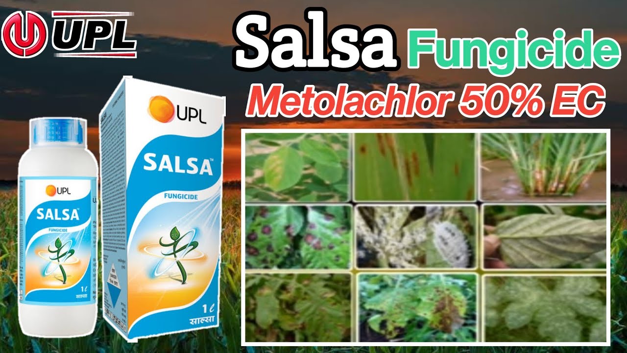 Salsa fungicide | upl | Metolachlor 50% EC | पूरी जानकारी हिंदी में ...
