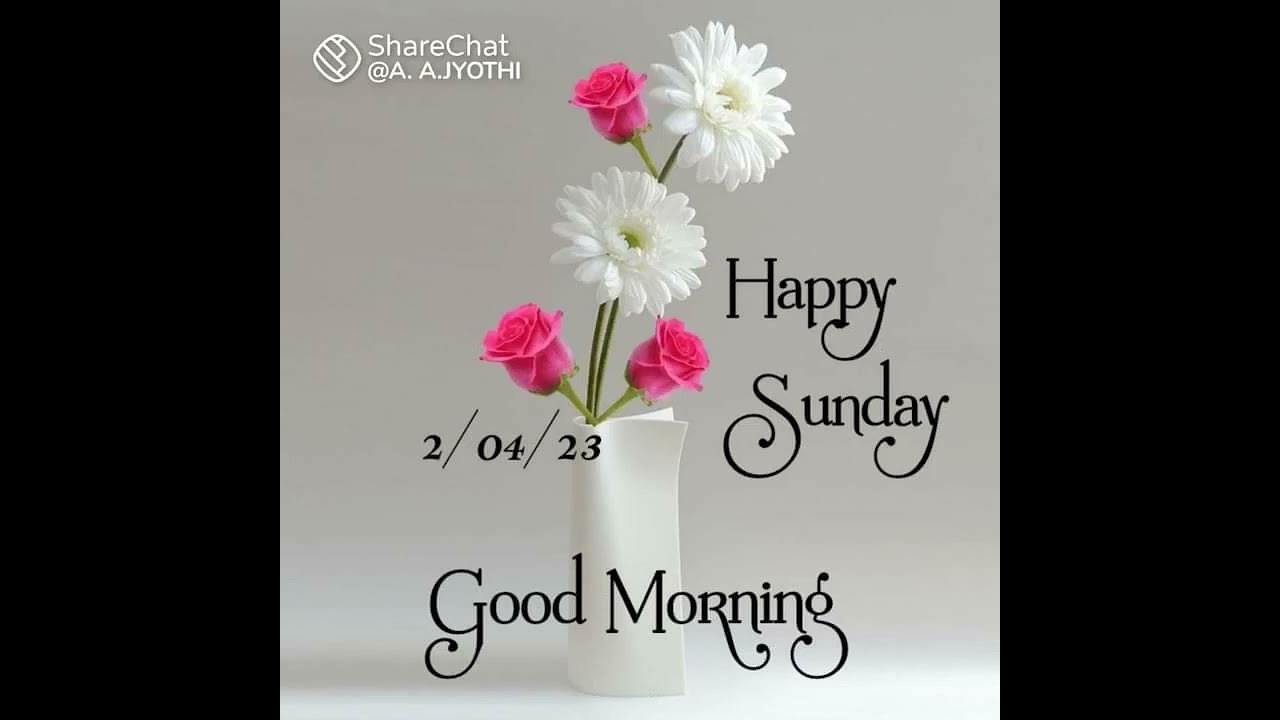 Good Morning Have A Beautiful Day Happy Palm Sunday Weekend Good Morning Have A Beautiful Day Happy Palm Sunday Weekend