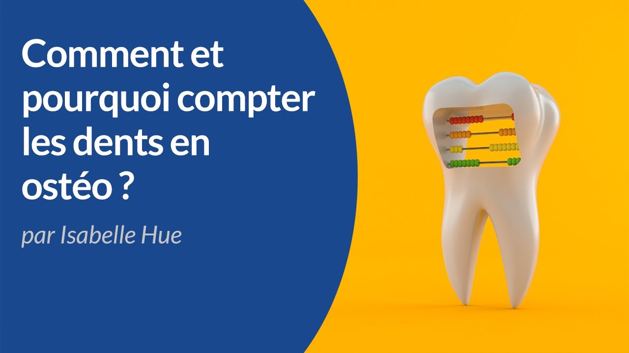 Compter les dents en ostéopathie : comment et pourquoi ? Dr Isabelle ...