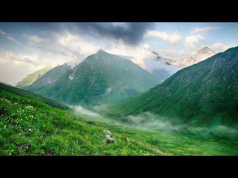 Сура Ан-Нахль Мухаммад Аль-Люхайдан