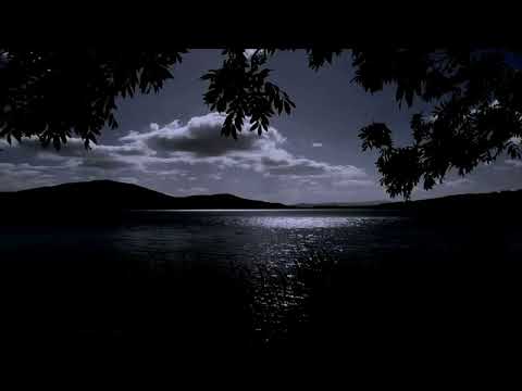 Neşet Abalıoğlu - Kendisi Lazım