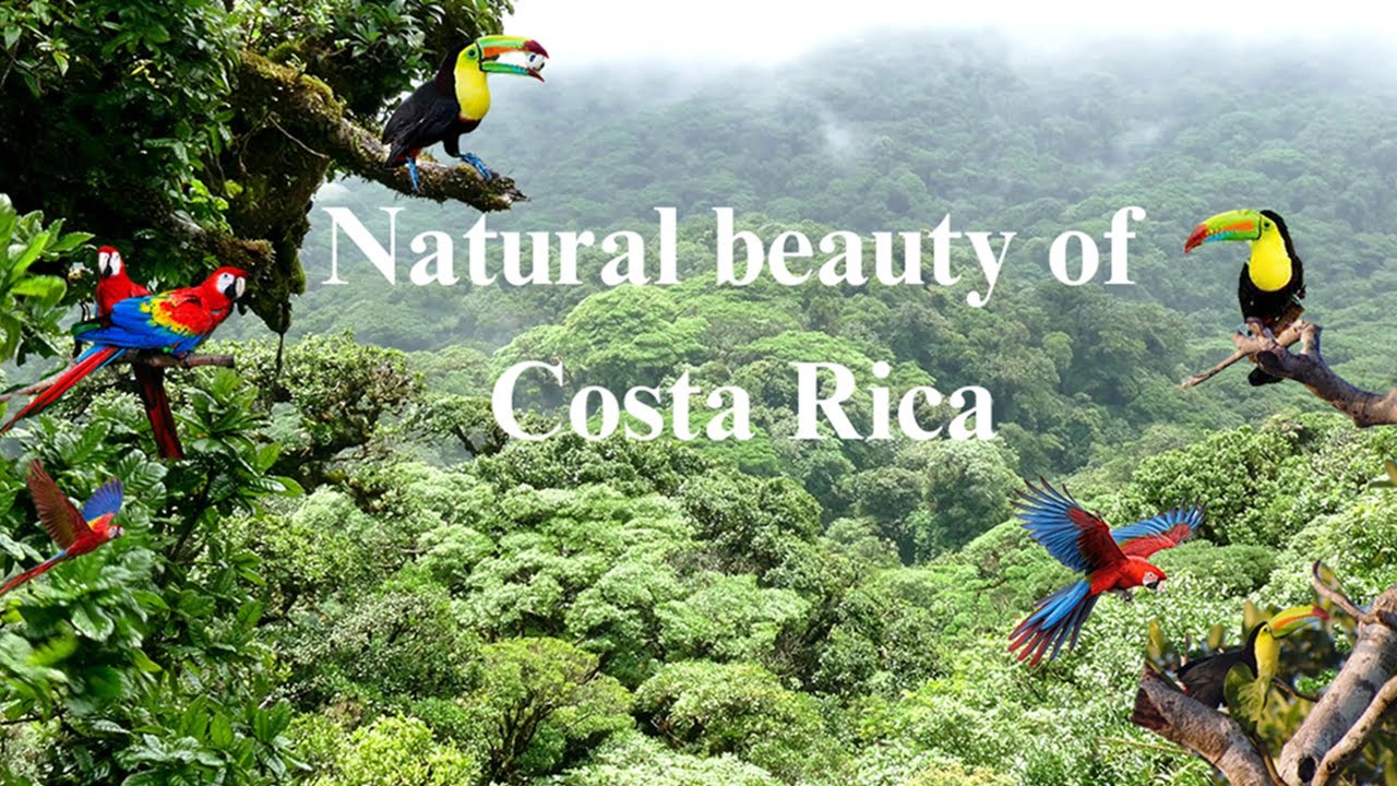 Discover Costa Rica's STUNNING Natural Beauty! - YouTube