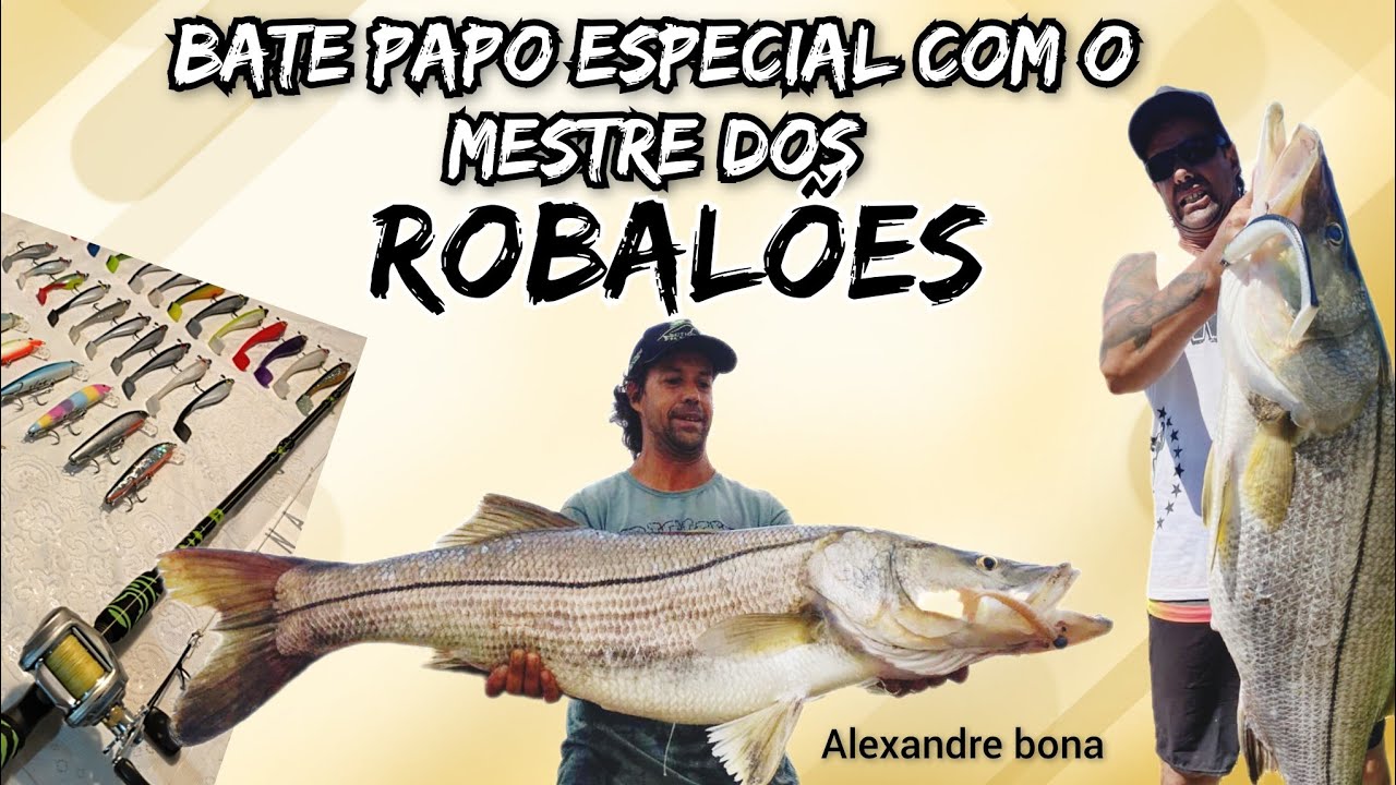 ROBALO FLECHA/ ALEXANDRE BONA/ PESCARIA DE GIGANTES - YouTube