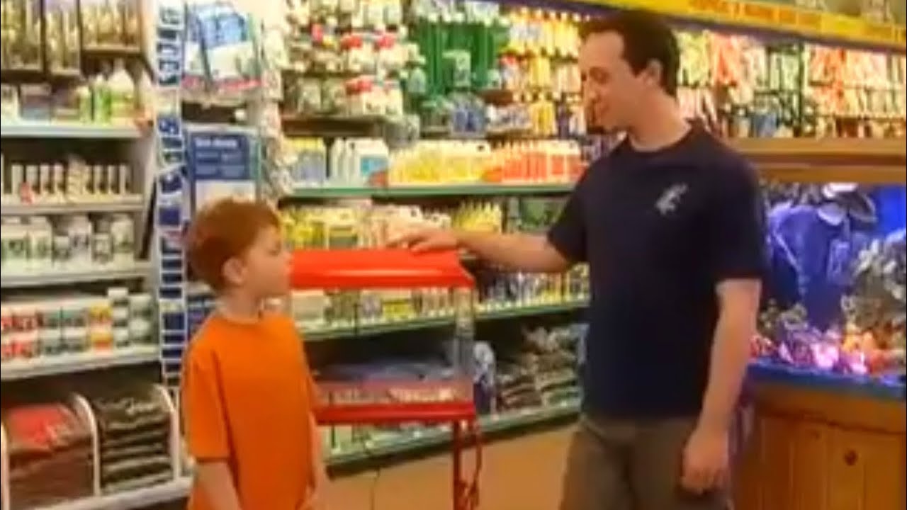 This is Daniel Cook - Season 2 - This is Daniel Cook learning about ...