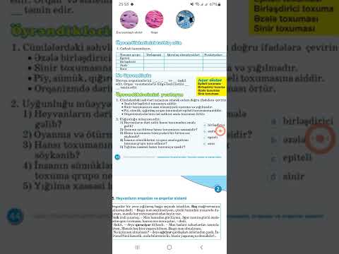 Mövzu 14-də olan tapşırıqlar. Heyvan toxumaları