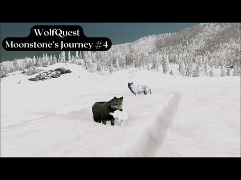 Strengthening Our Territory - Moonstone's Journey #4 - WolfQuest - YouTube
